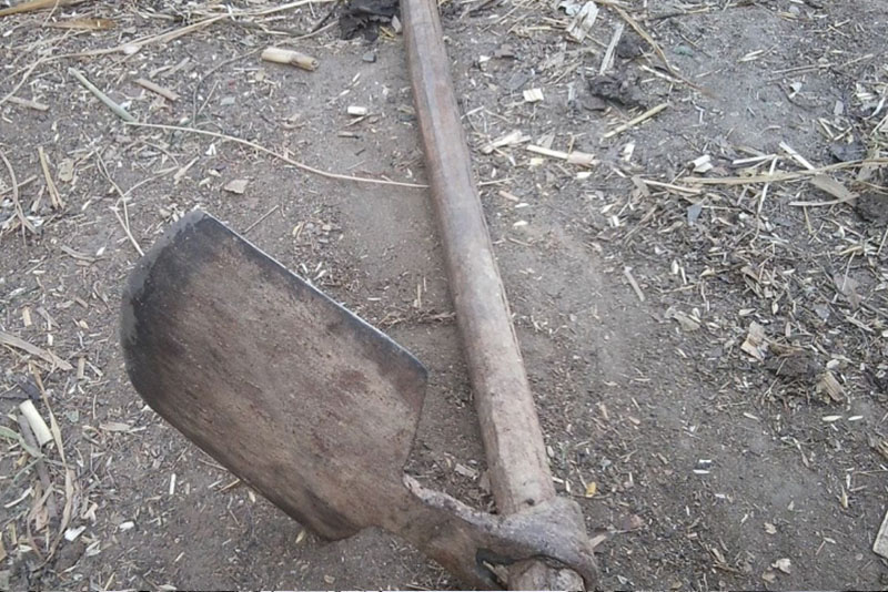 कोदालोले हानेर भाउजुको हत्या